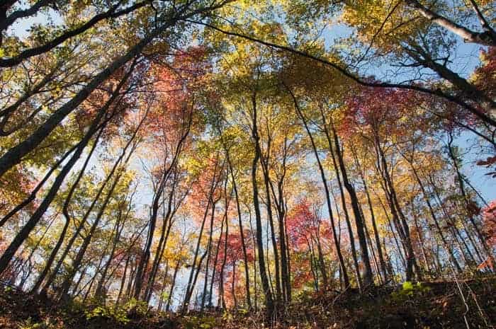 276 Area Code - Bristol – Details, and Phone Numbers